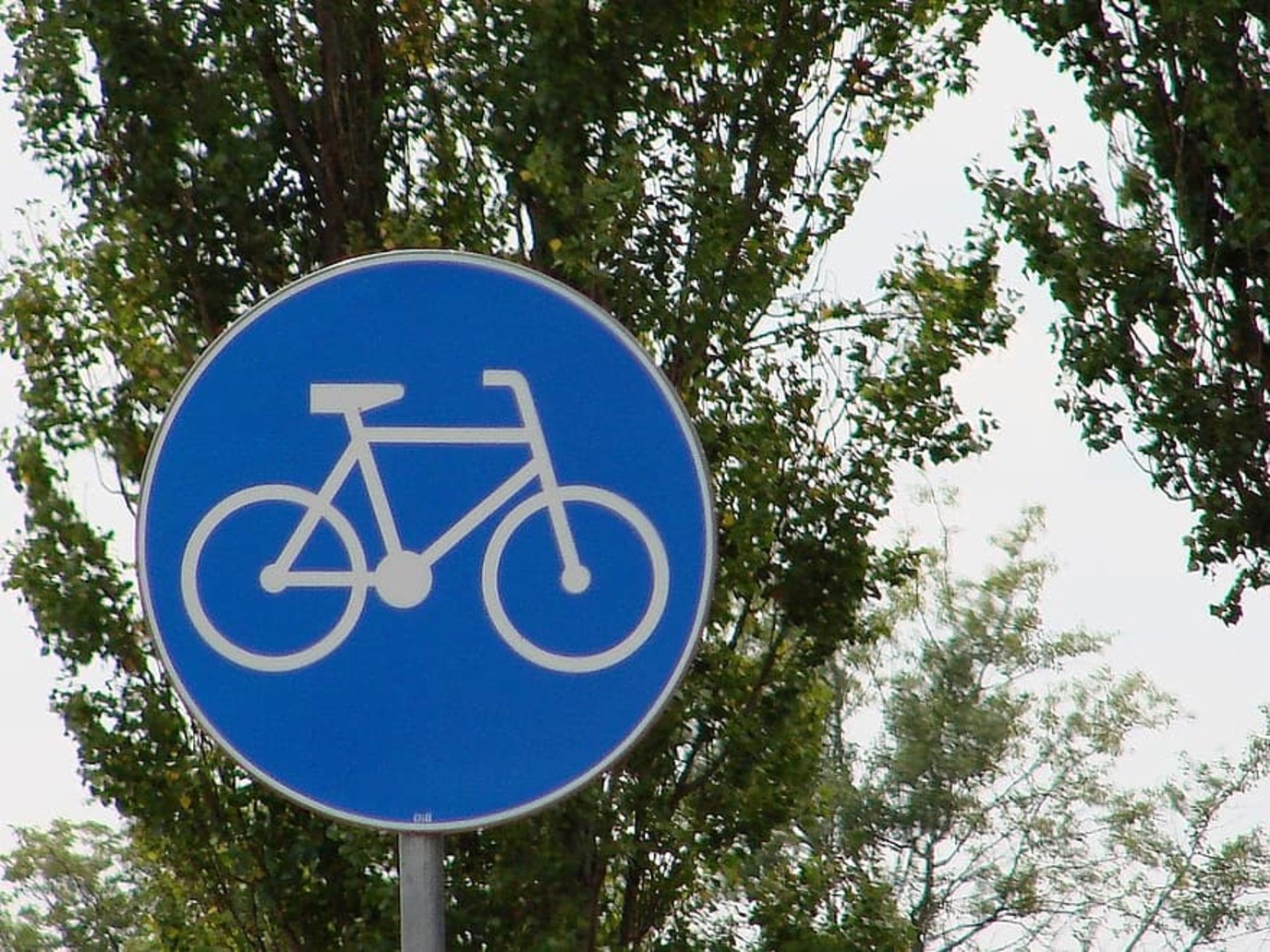 تقاسم الطريق مع الدراجات.. كيفية تجنب حالات الحوادث المحتملة | مجلة سيدتي