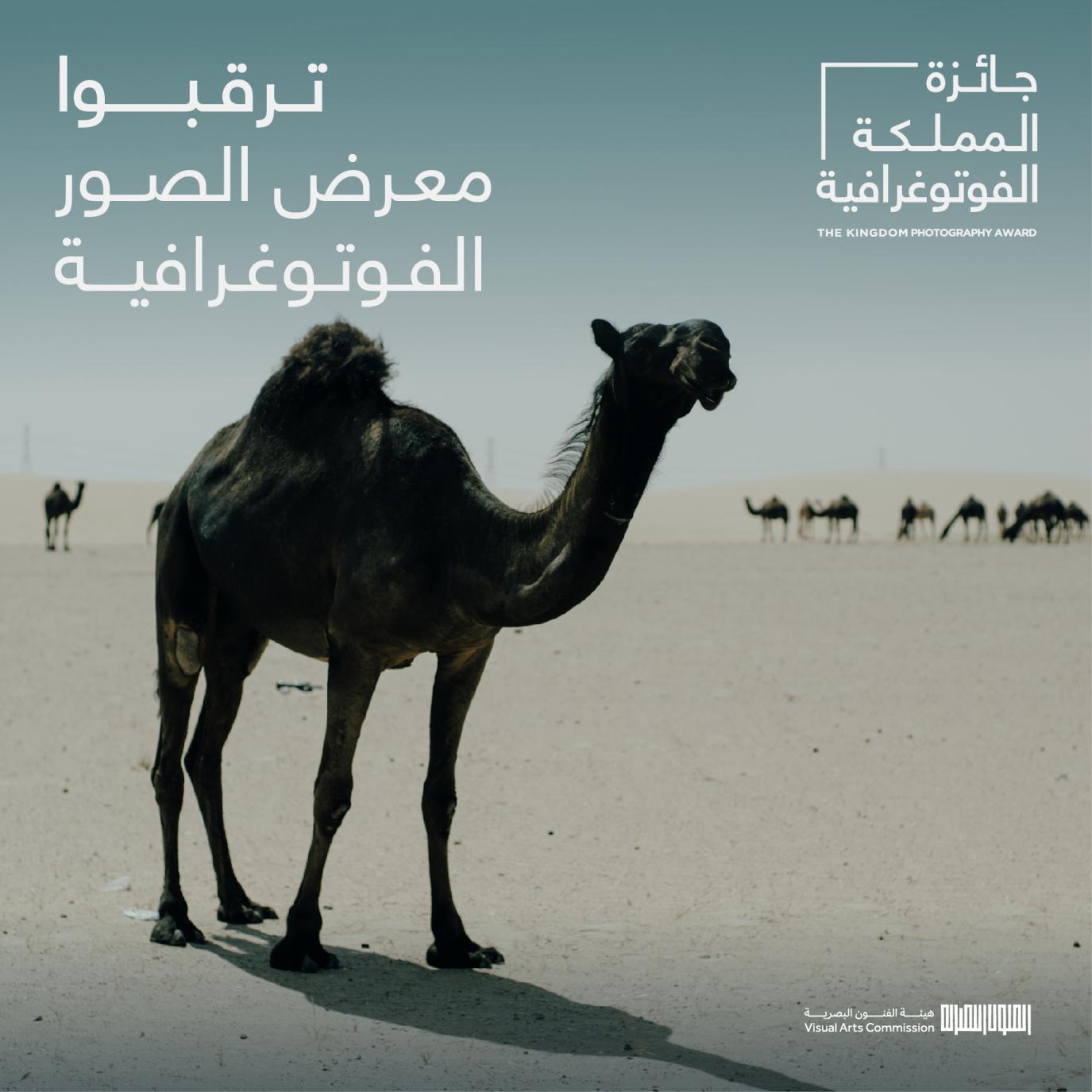 هيئة الفنون البصرية تُعلن تنظيم معرض "الحسا حسانا" في جدة من 11 فبراير ...