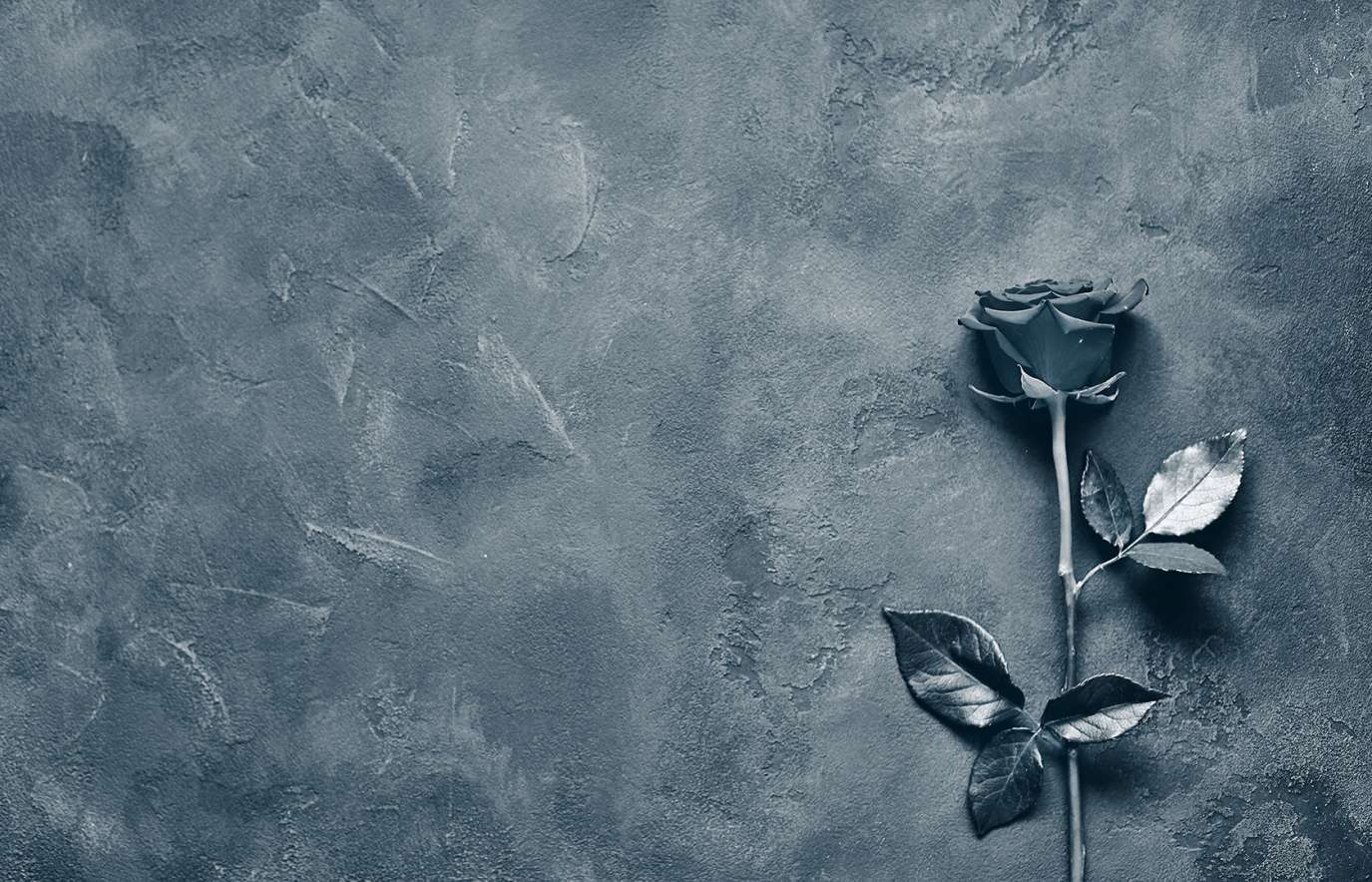 وفاة الممثلة ميغ بينيت عن 75 عاماً بعد صراع مع السرطان | مجلة سيدتي