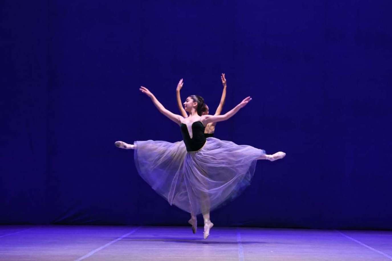 سياحة عجمان تنظم مهرجان الأوتار الفلكلورية احتفالاً بيوم الرقص العالمي ...